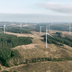 Biodiversity considerations - Vattenfall