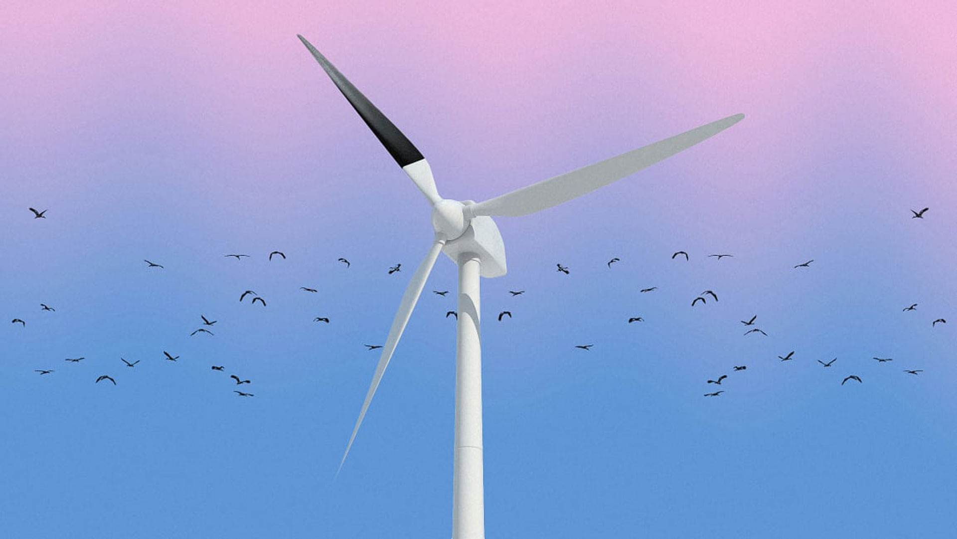 Research Into The Effect Of Black Blade In Wind Turbine Vattenfall Research Into The Effect Of Black Blade In Wind Turbine Vattenfall