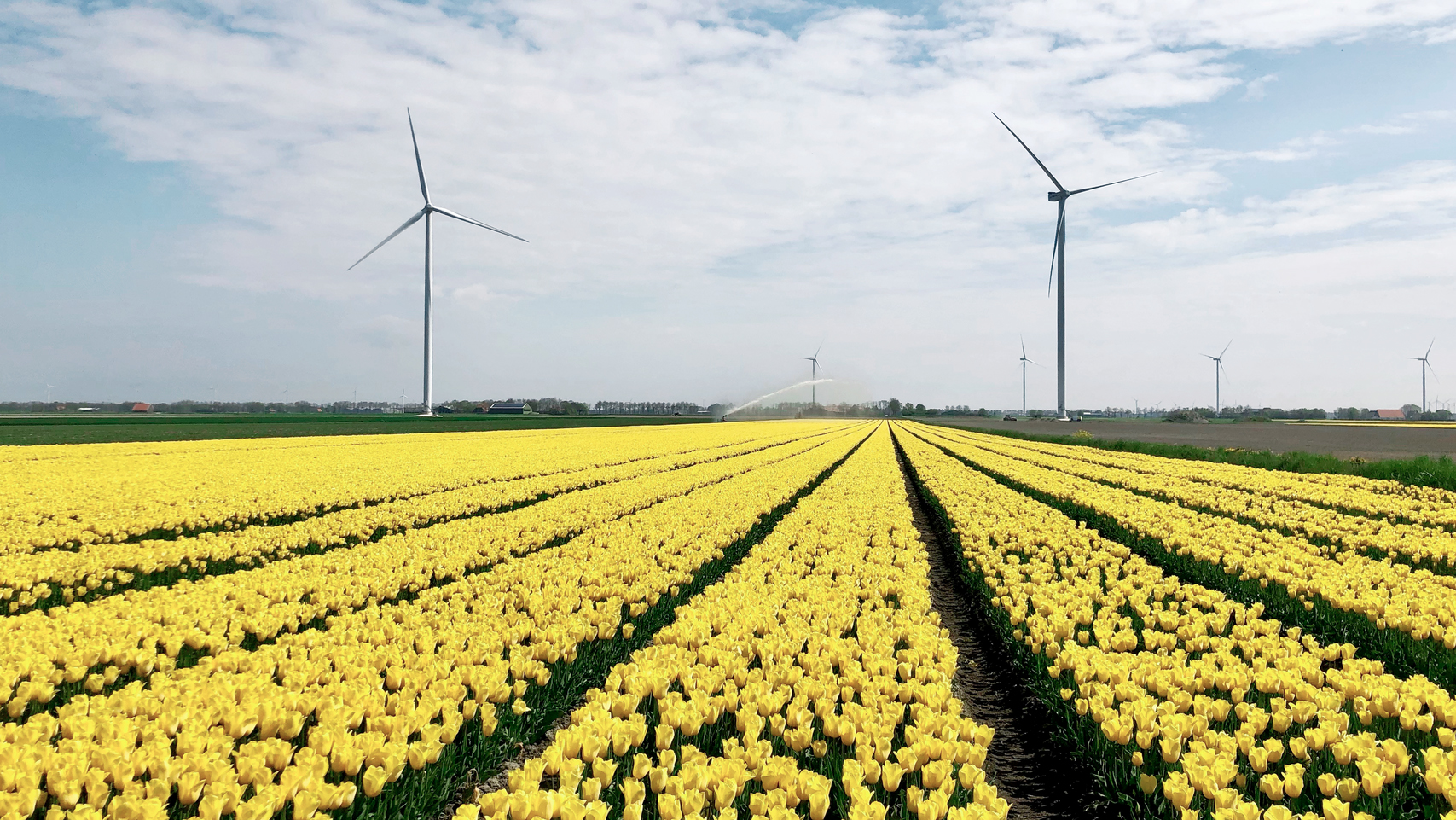 Newsroom - Actueel - Vattenfall NL