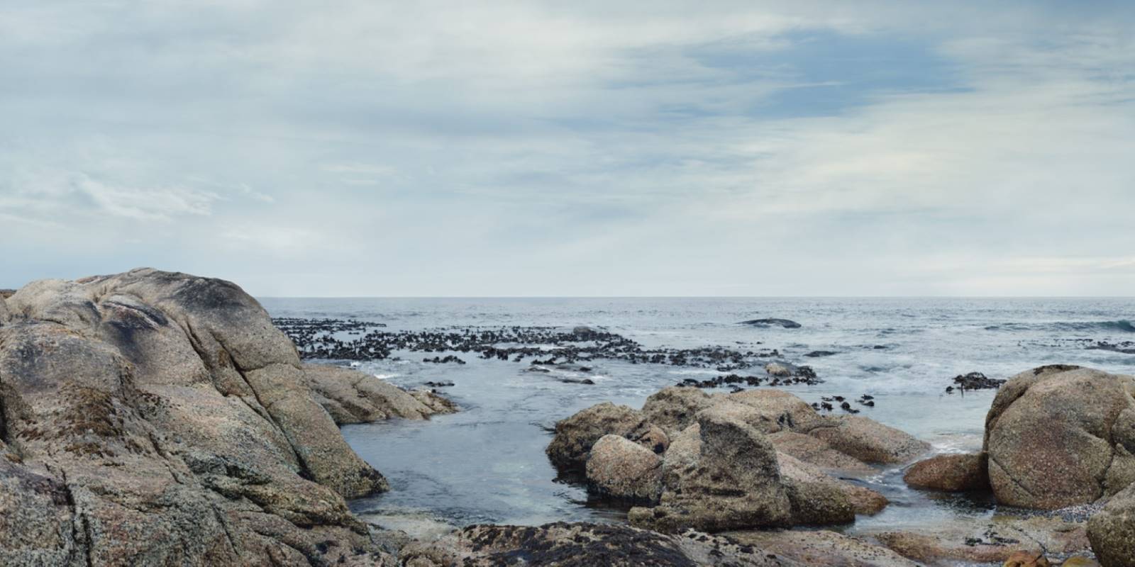 Fossil free, net zero and biodiversity - the tough decisions - Vattenfall